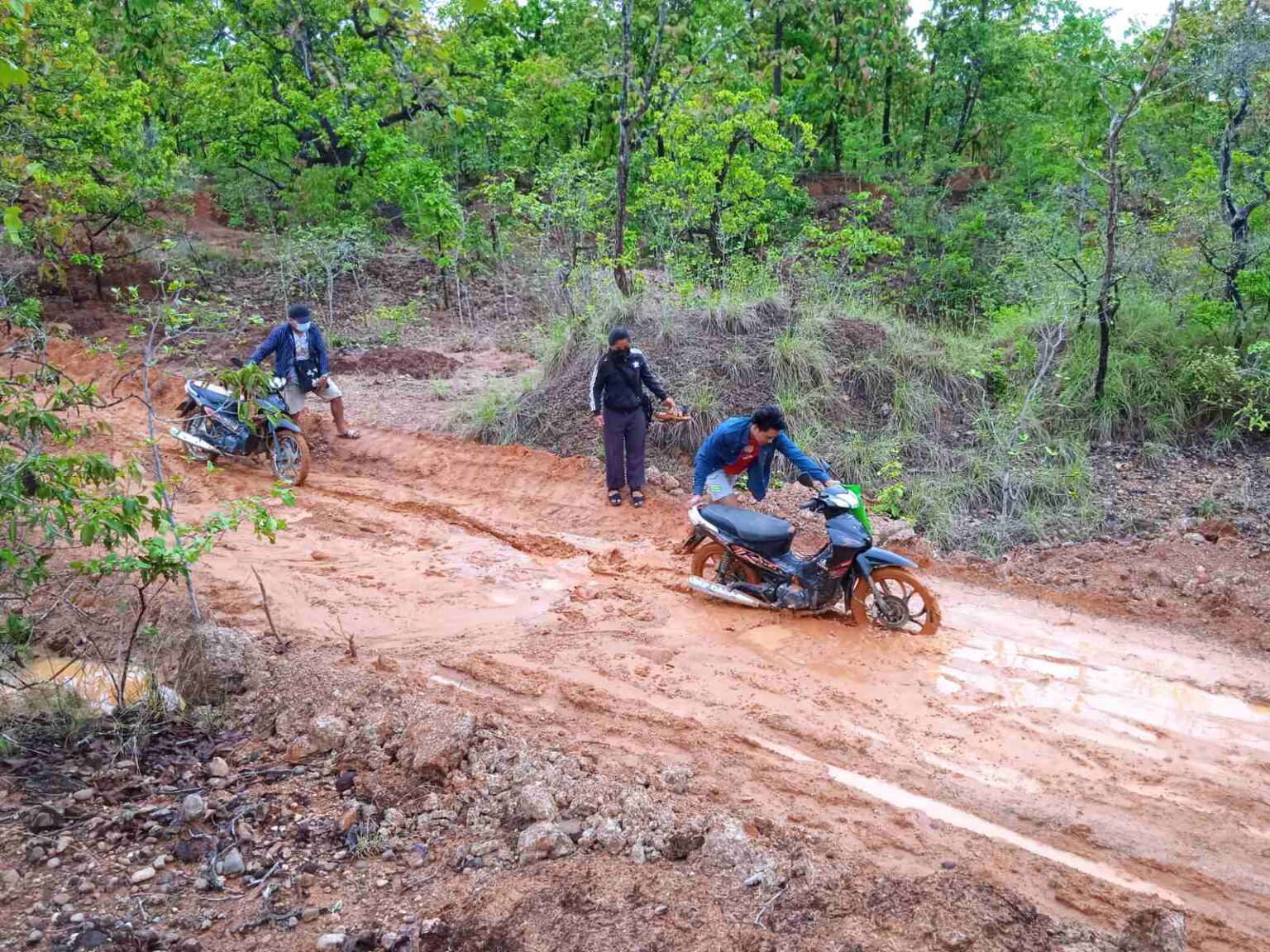 Home : Community Agency For Rural Development